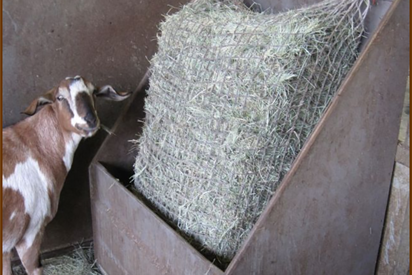 125lb/3-String Bale Slow Feed Hay Net – Freedom Feeder